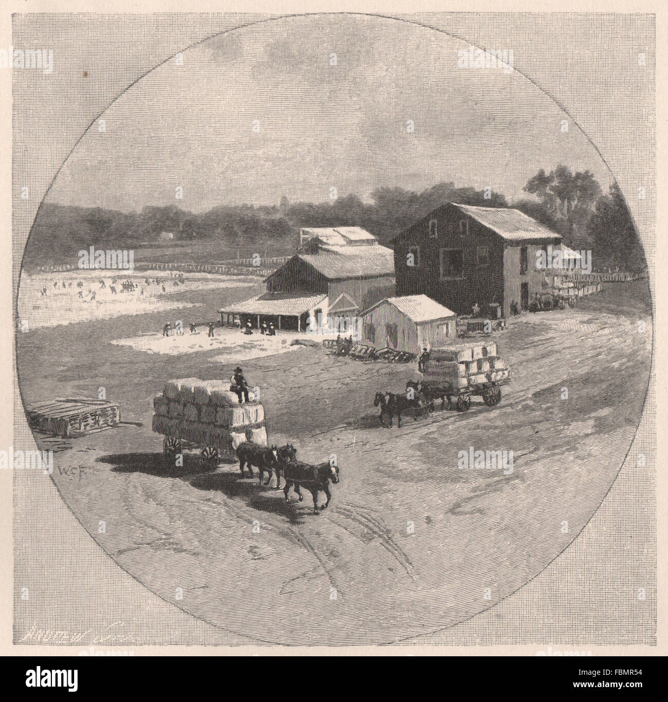 Wool loading. Australia, antique print 1888 Stock Photo - Alamy