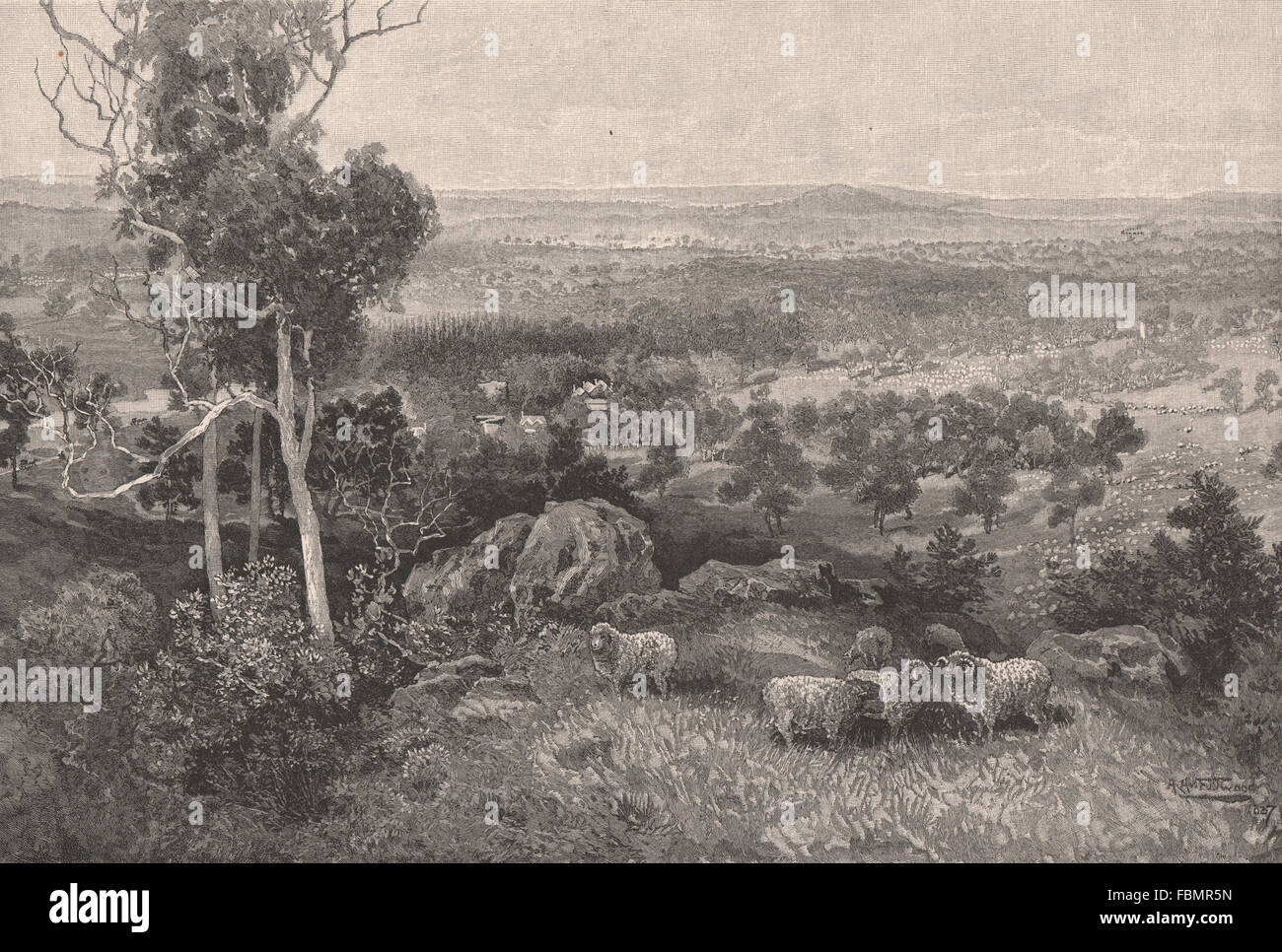 Sheep station hi-res stock photography and images - Alamy