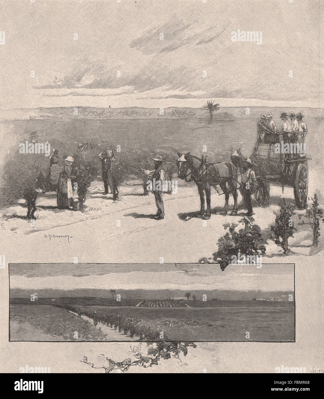 19th century wine australia hi-res stock photography and images - Alamy