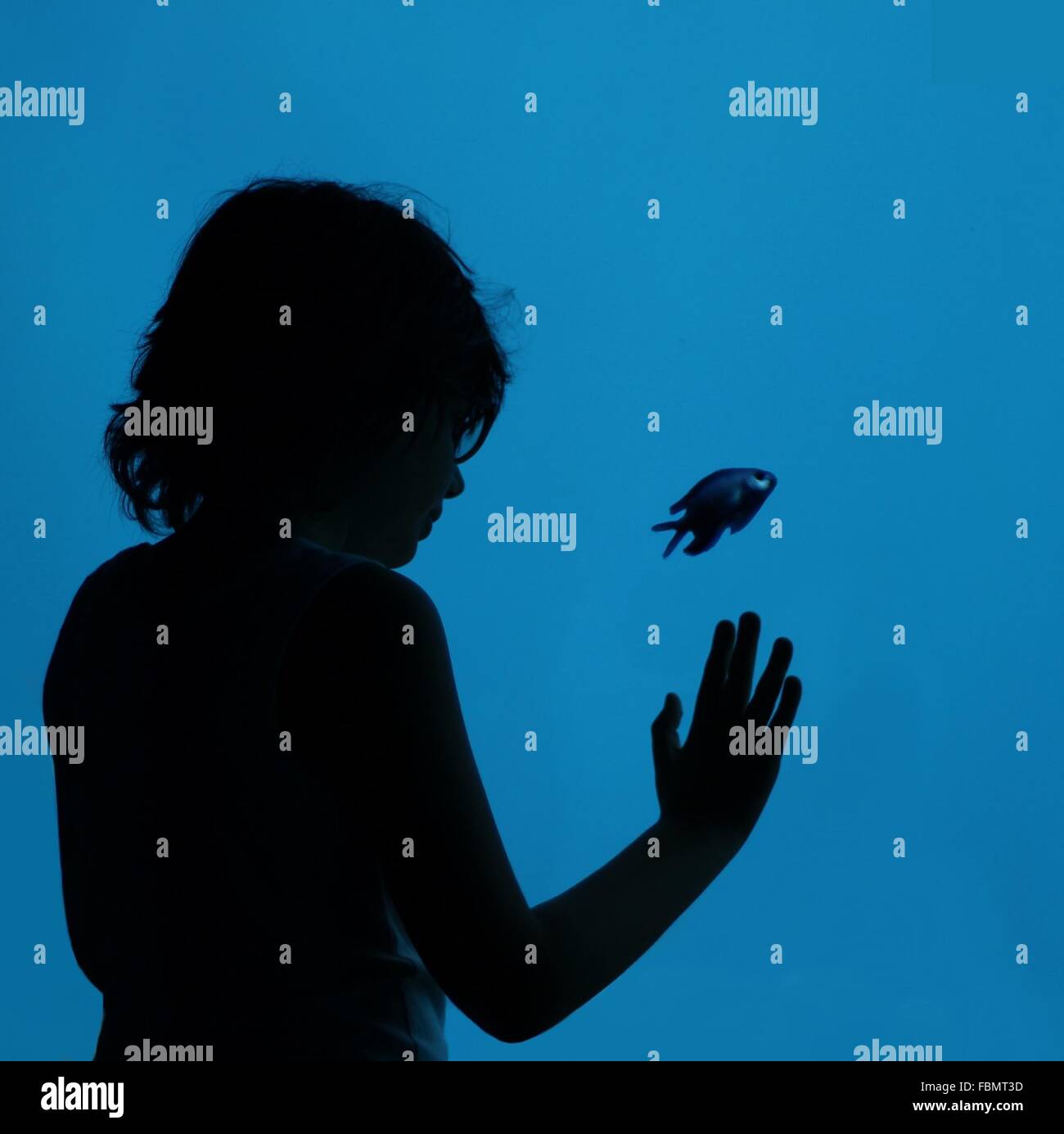 Real in fish hi-res stock photography and images - Alamy