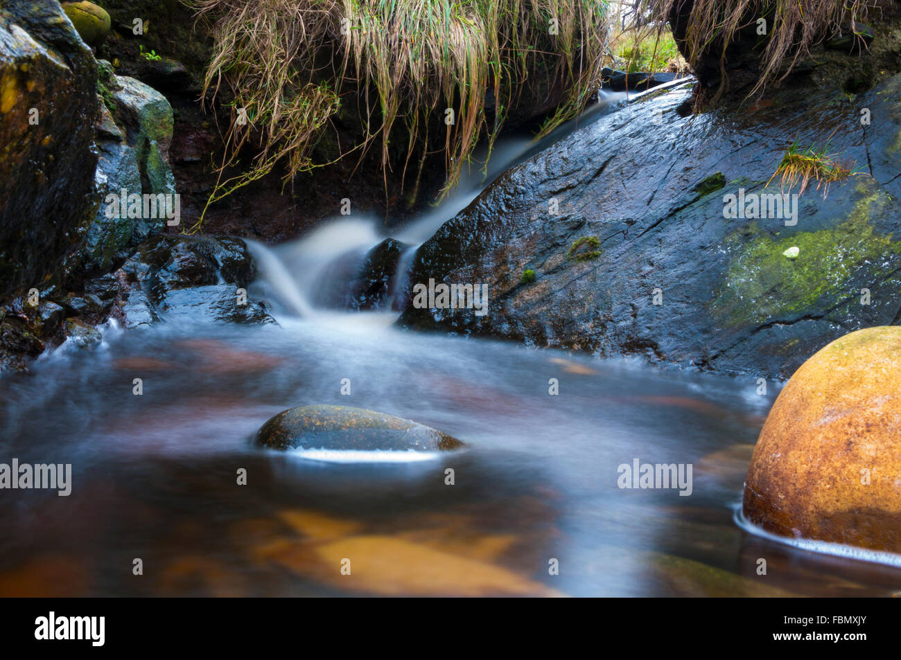 Fluidity of motion hi-res stock photography and images - Alamy