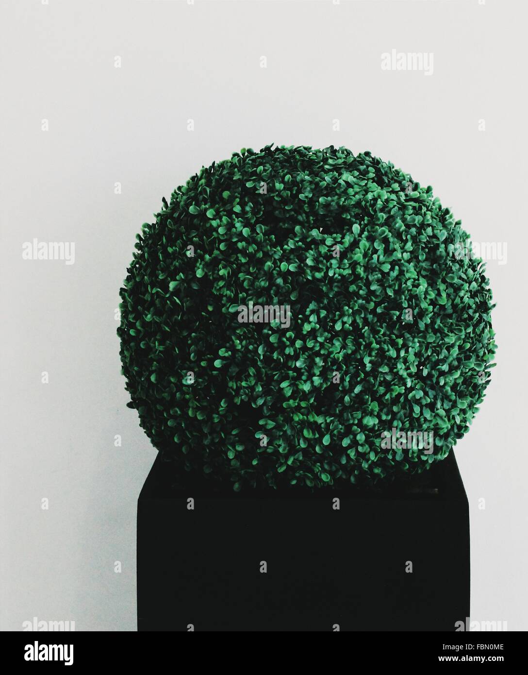 Topiary sphere hi-res stock photography and images - Alamy