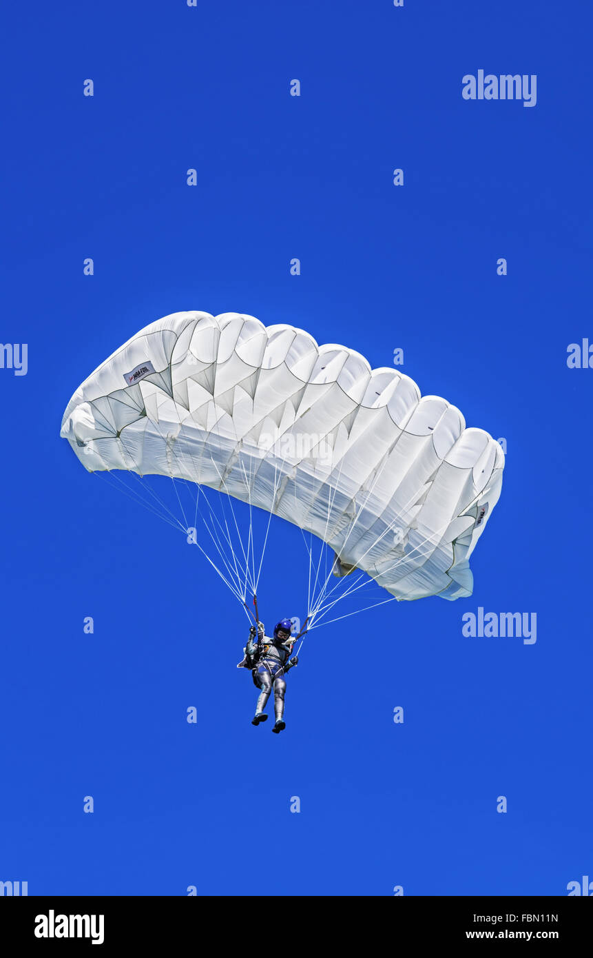 Parachutists - 2015.The skydiver landing under parachute Stock Photo ...