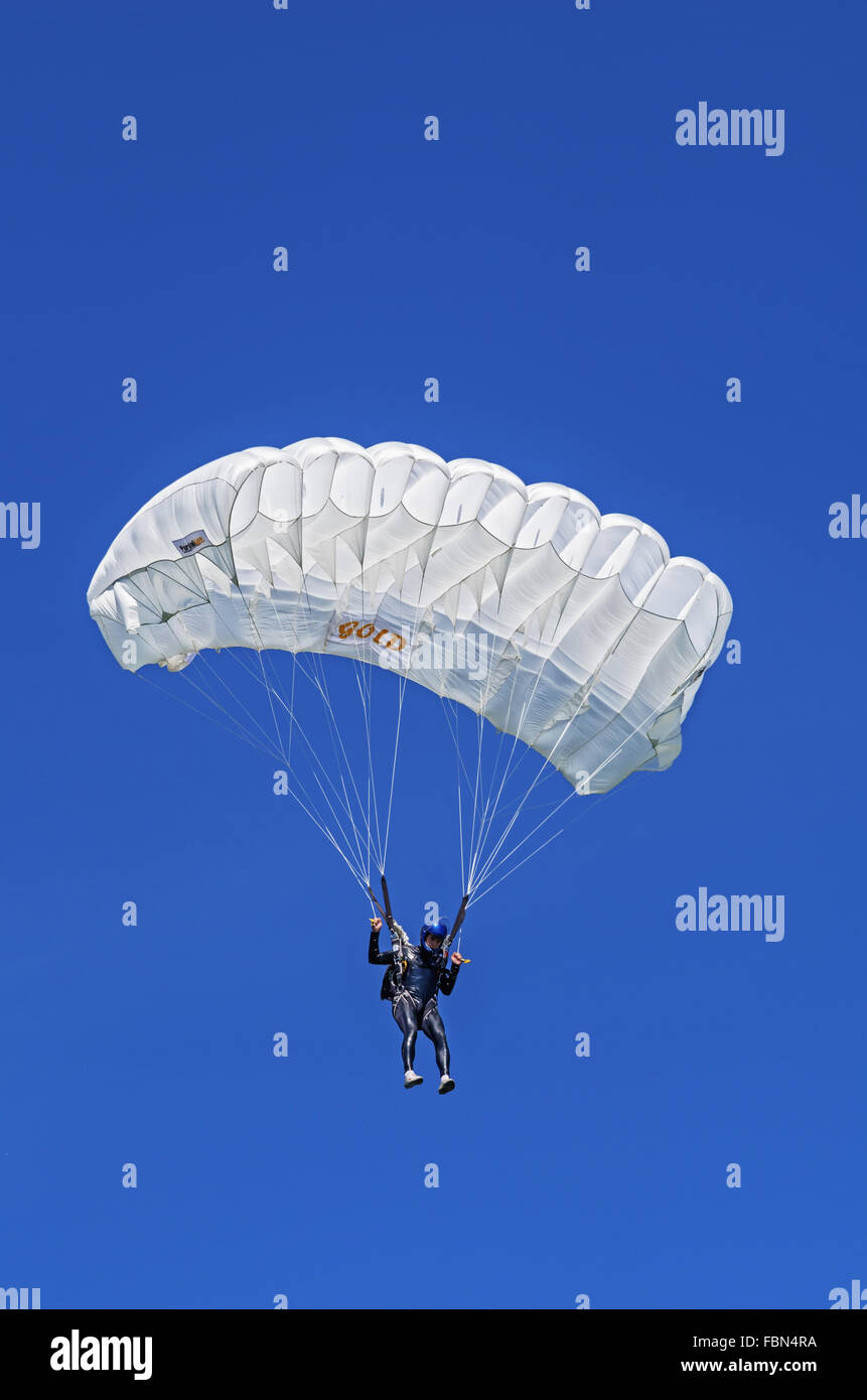 Parachutists - 2015.The skydiver landing under parachute Stock Photo ...