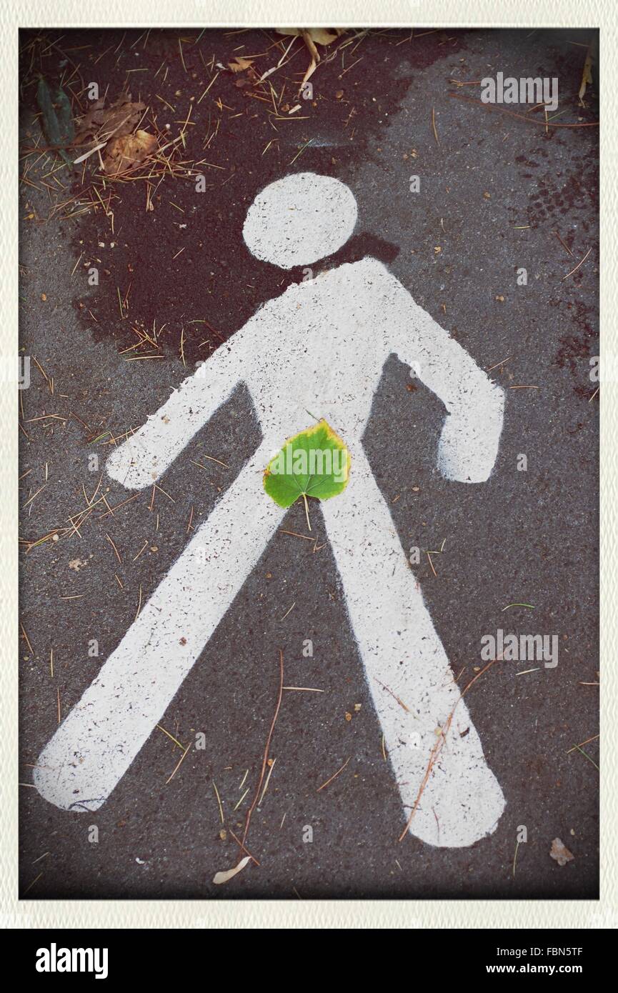 Leaf On Pedestrian Crossing Sign Stock Photo - Alamy
