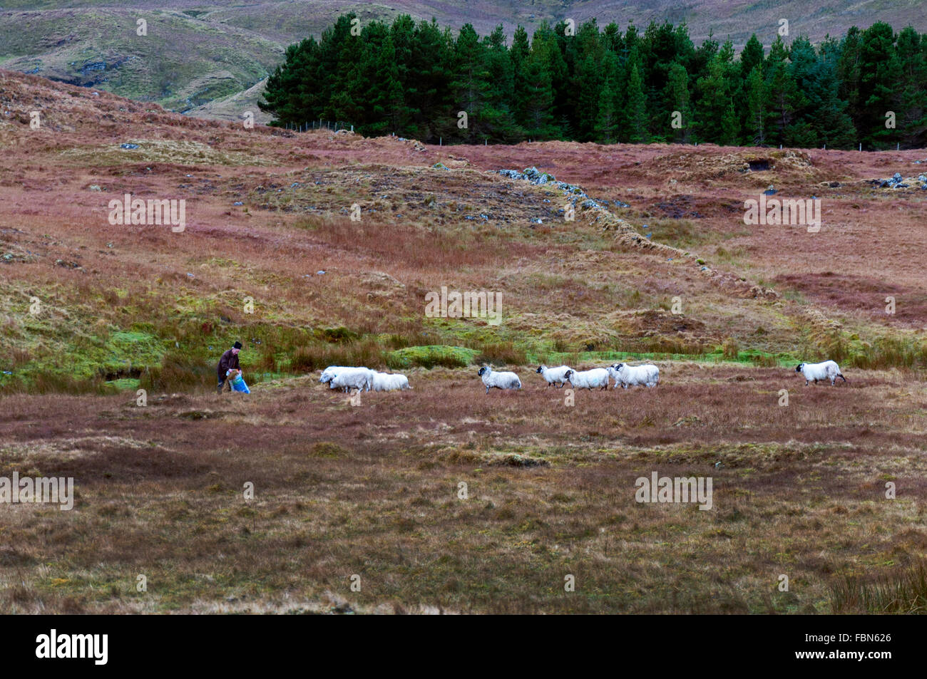 Farmer plan hi-res stock photography and images - Alamy