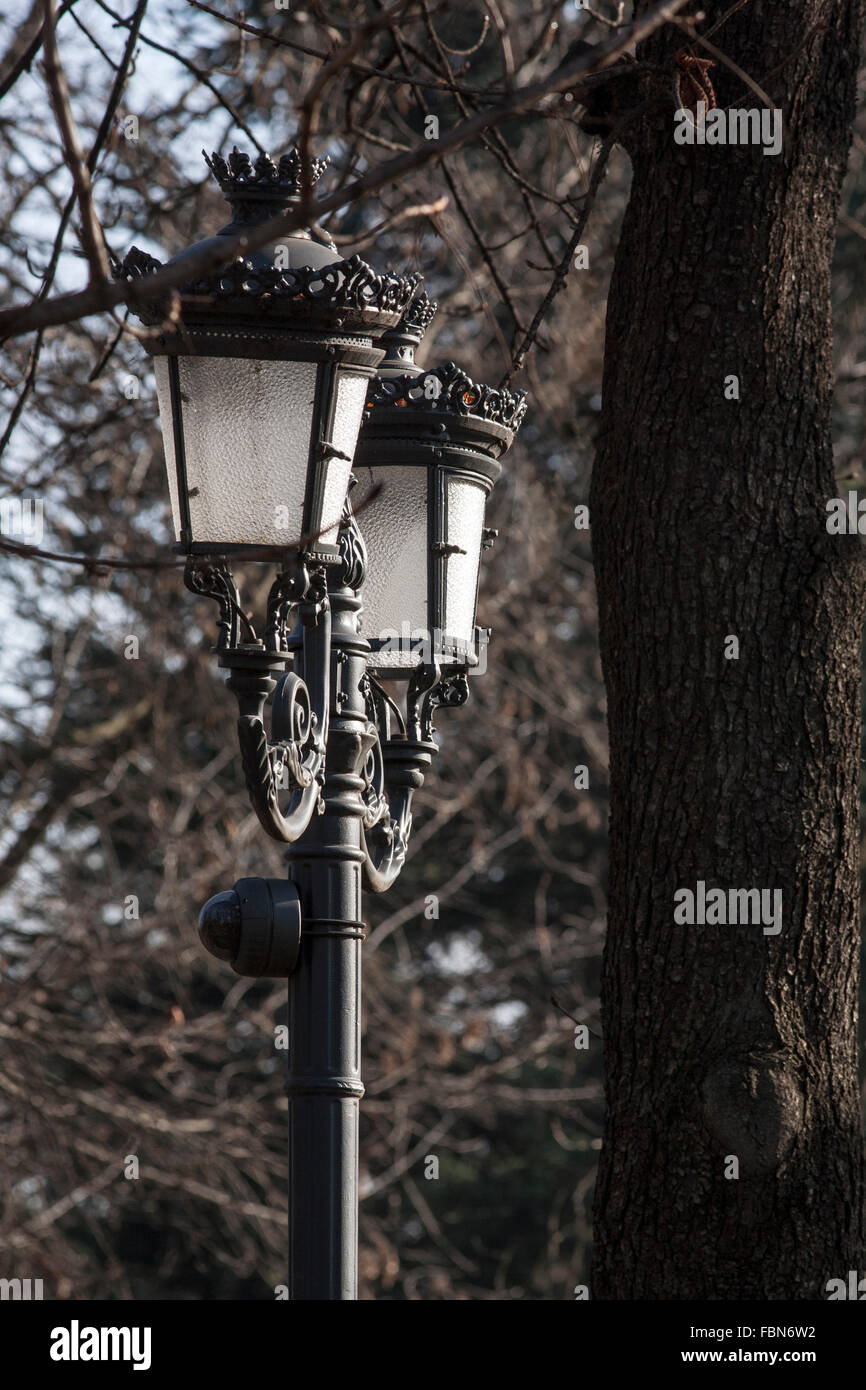 Lamp post at Public Park, autumn season, trees without leaves Stock ...