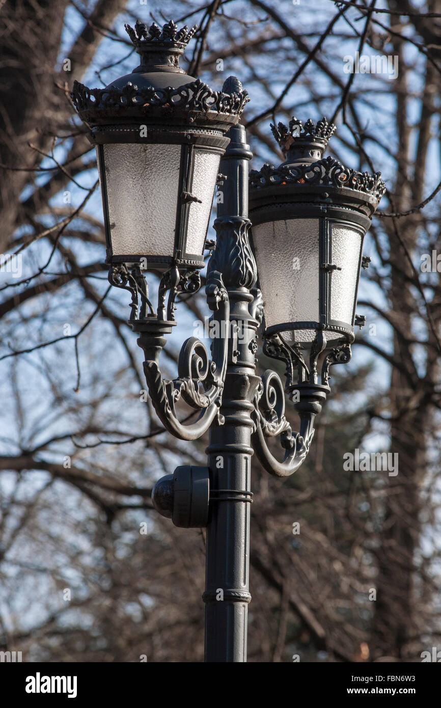 Lamp post at Public Park, autumn season, trees without leaves Stock ...