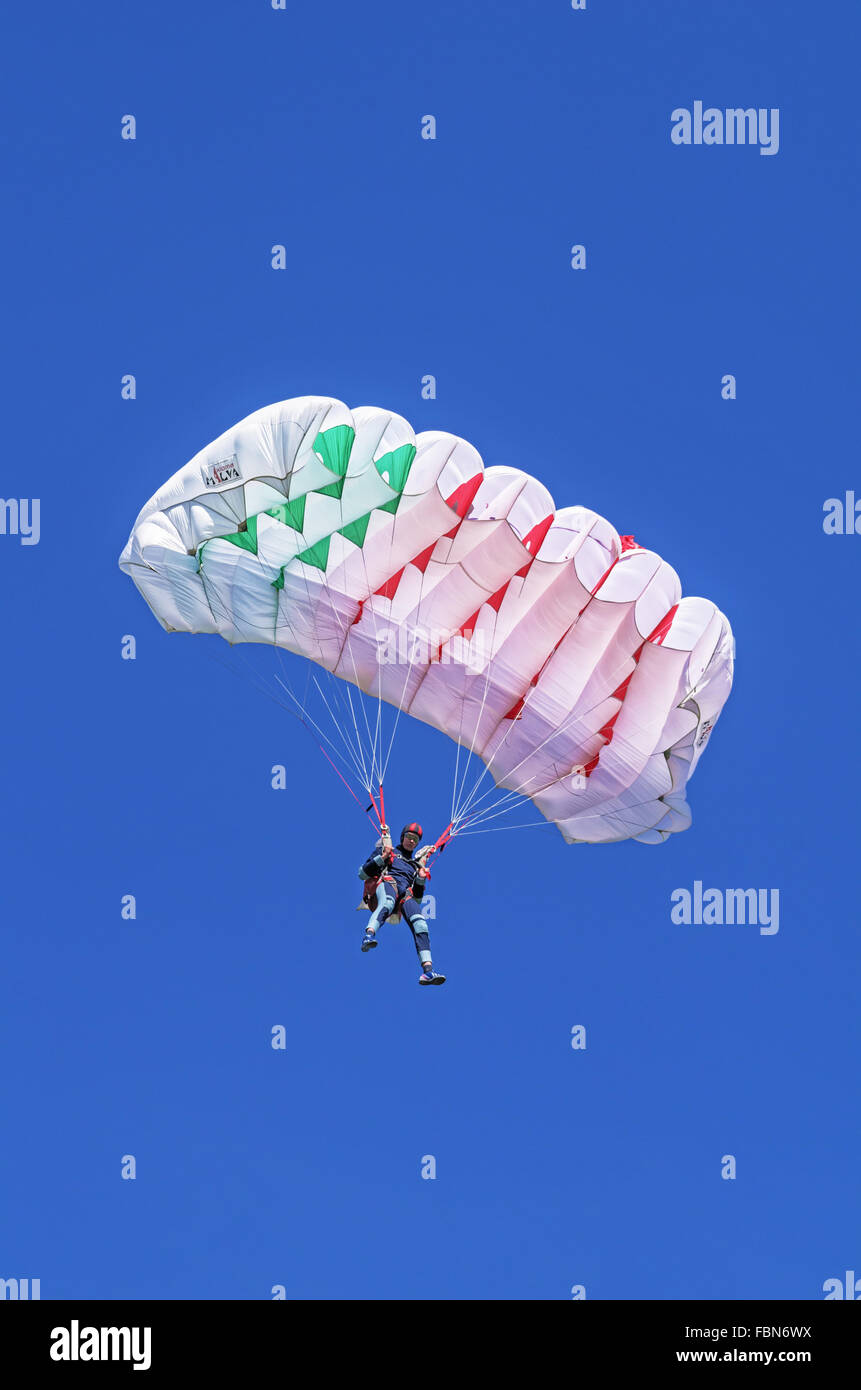 Parachutists - 2015.The skydiver landing under parachute Stock Photo ...