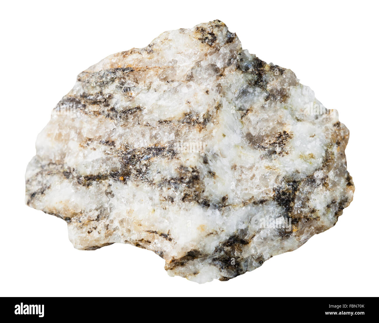 macro shooting of specimen natural rock - specimen of Gneiss mineral ...