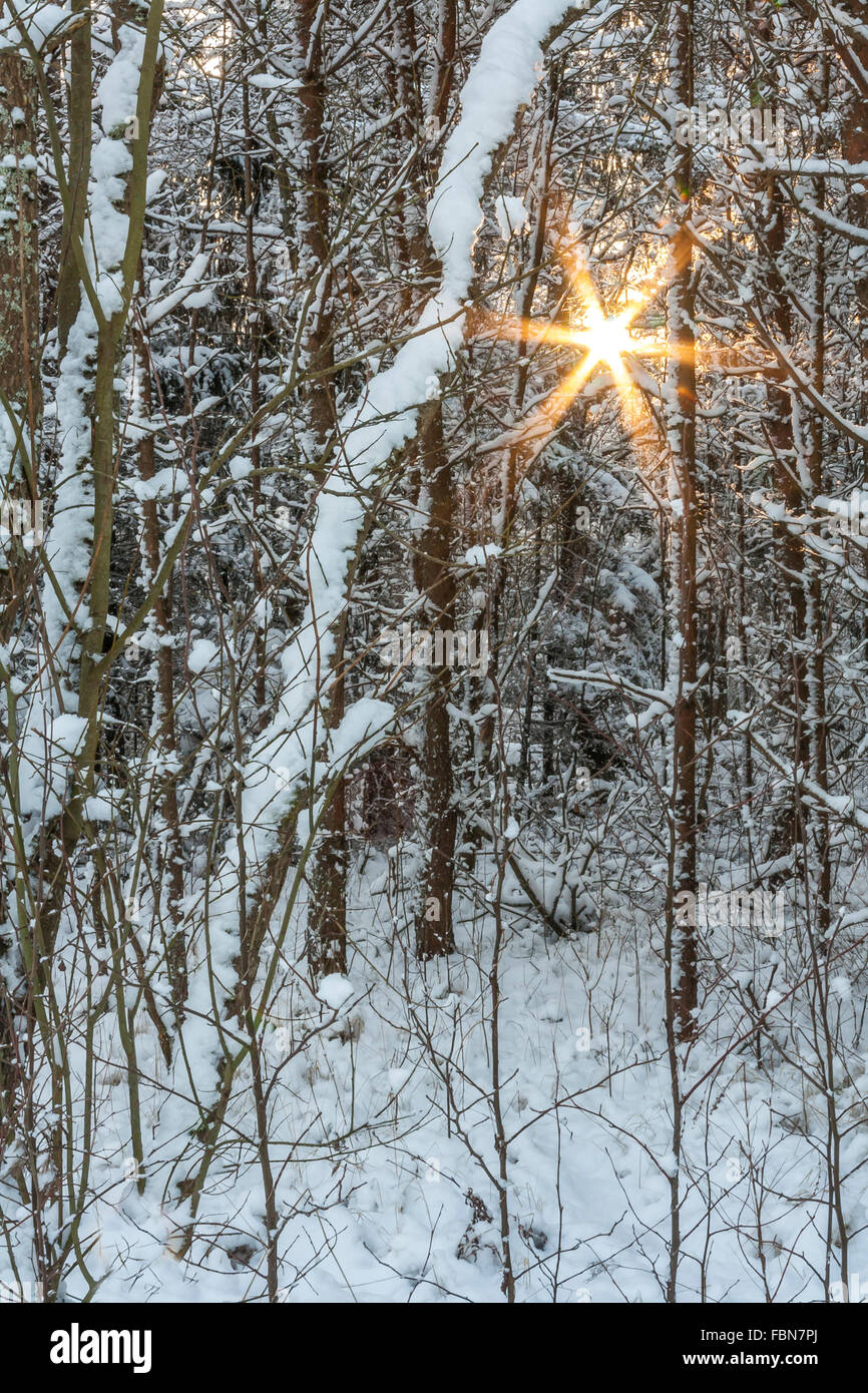 Mist frost snow sun hi-res stock photography and images - Alamy