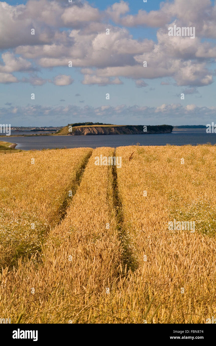 The Island of Mors, Looking North. The island of Mors lies in the ...