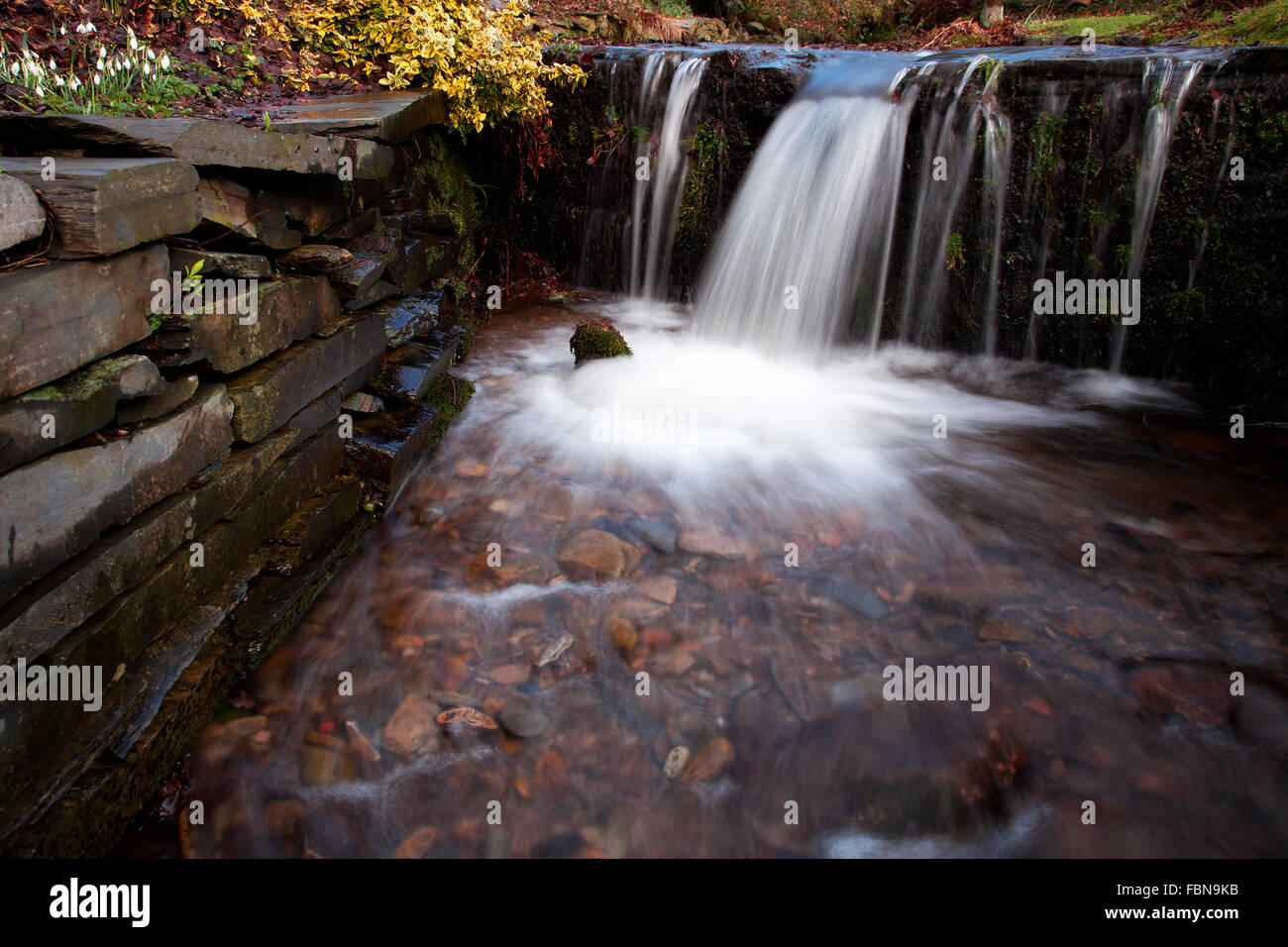 Picture © Jamie Callister Stream in the Vale of Clwyd, North Wales 18th ...
