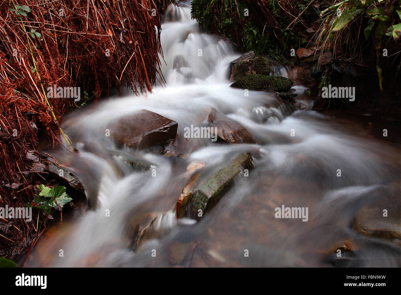Picture © Jamie Callister Stream in the Vale of Clwyd, North Wales 18th ...