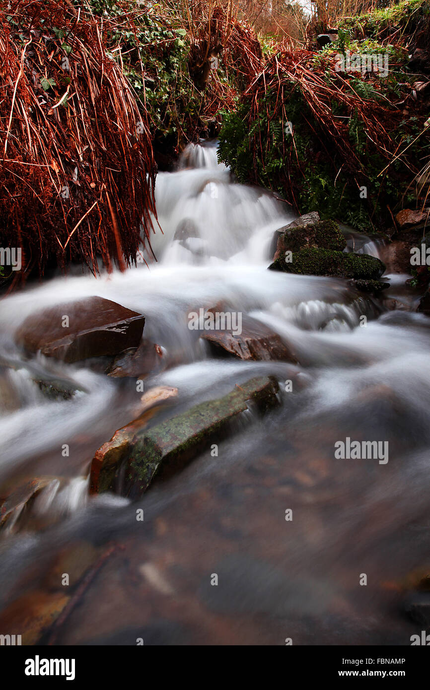 Picture © Jamie Callister Stream in the Vale of Clwyd, North Wales 18th ...