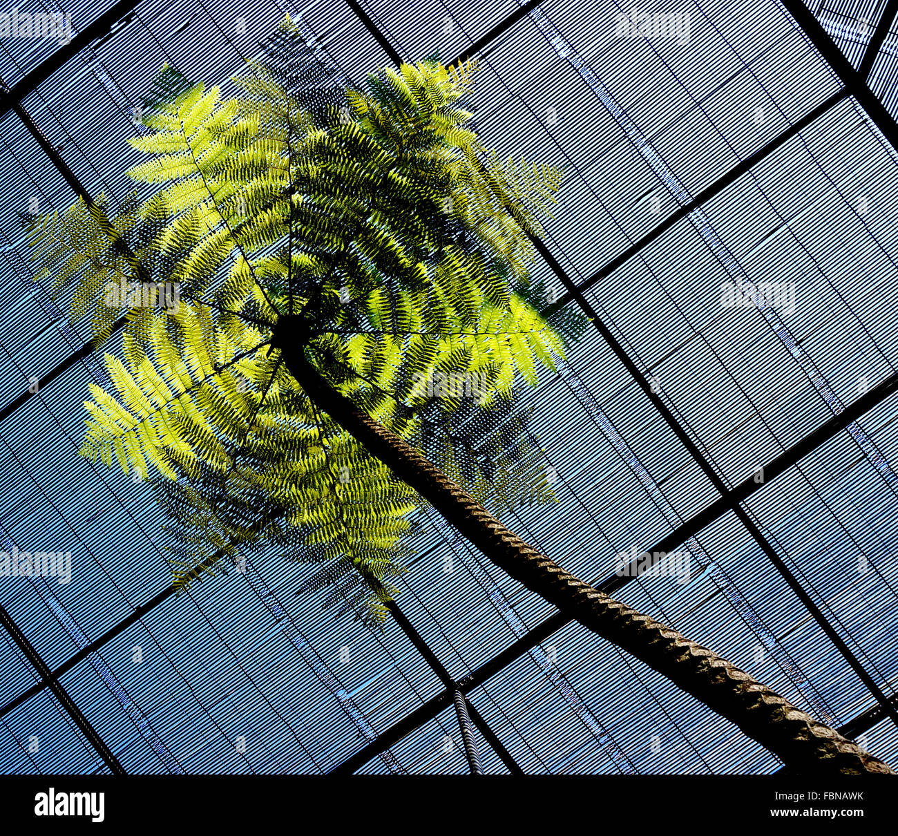 Towards ceiling hi-res stock photography and images - Alamy