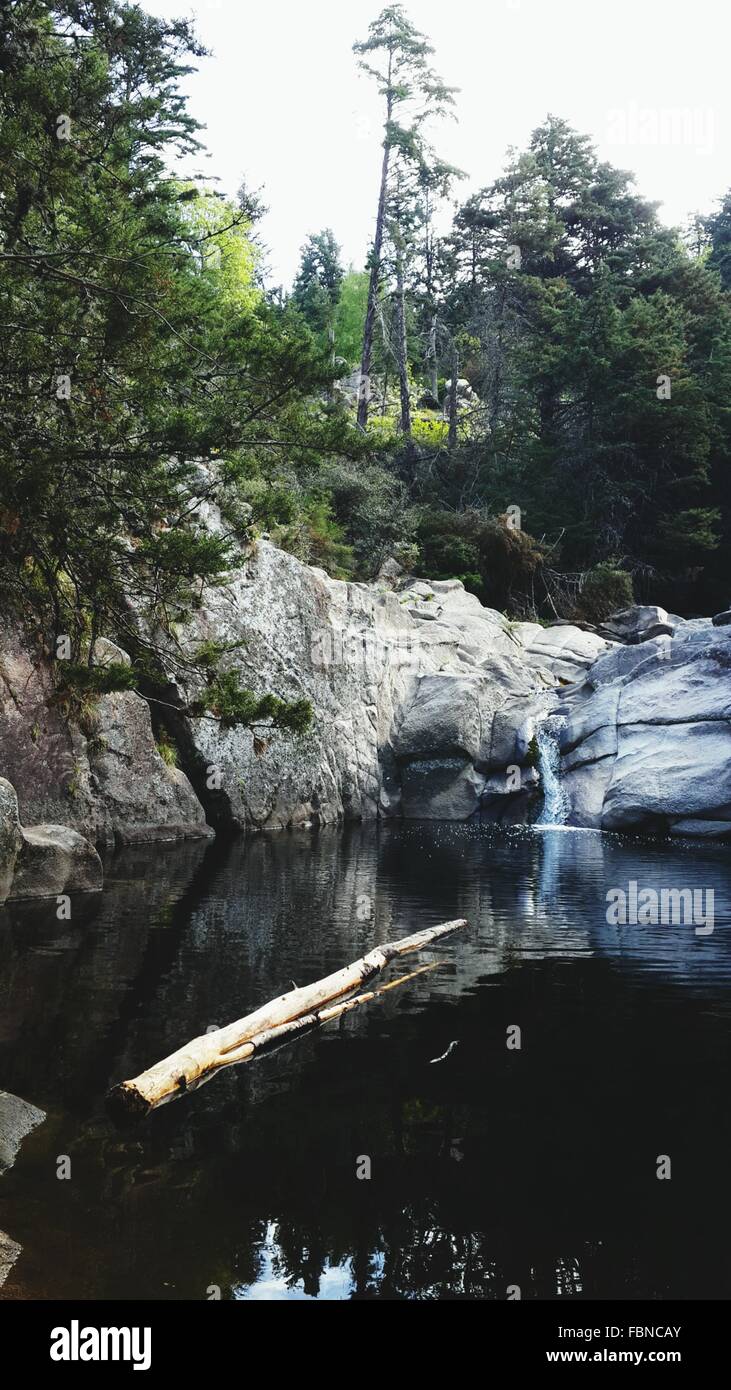 Log Floating High Resolution Stock Photography and Images - Alamy