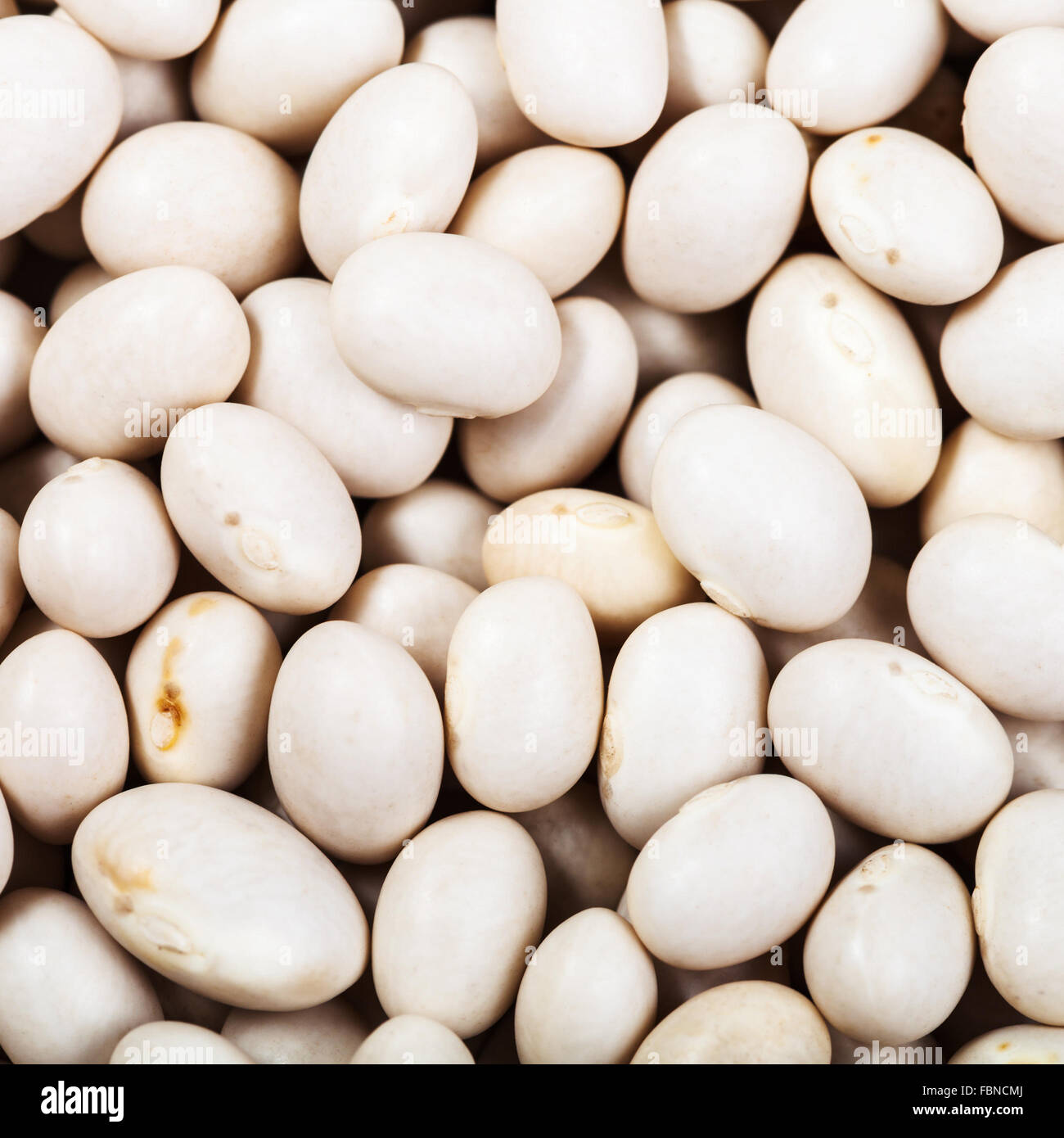 square food background - raw white haricot navy beans close up Stock ...
