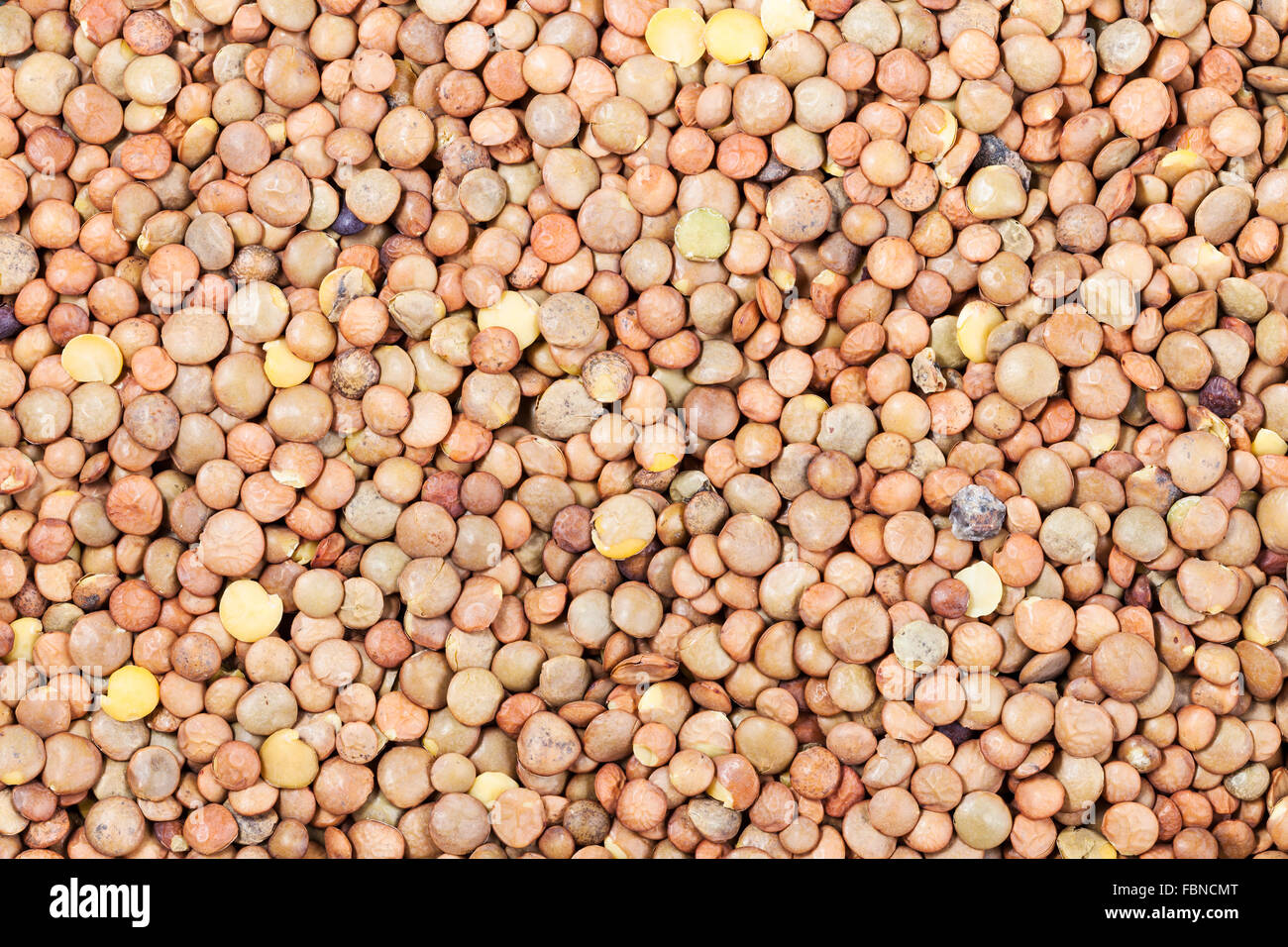 food background - many raw brown lentil seeds Stock Photo - Alamy