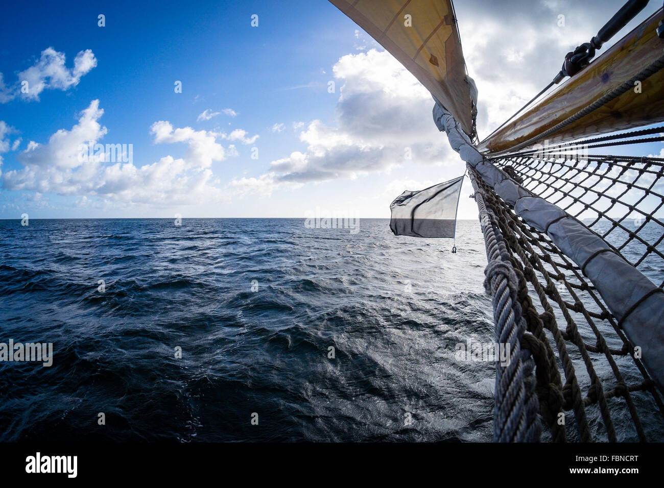 Day tip hi-res stock photography and images - Alamy