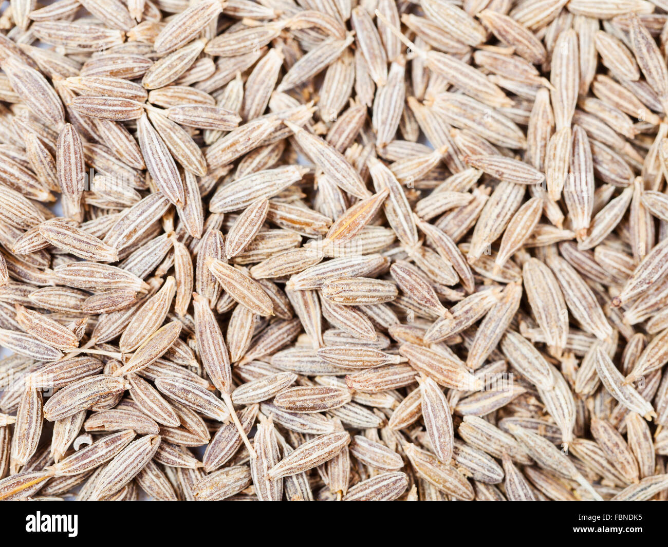 food background - dried cumin (cummin) spice seeds Stock Photo - Alamy