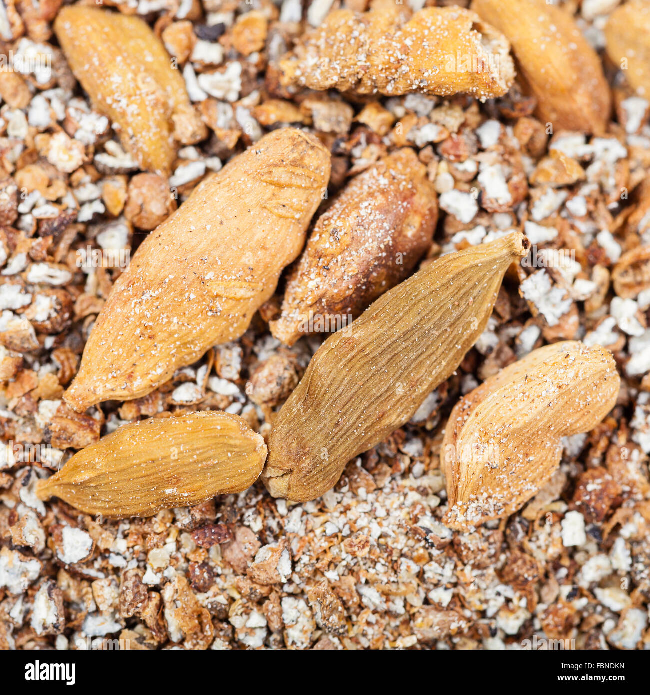 square food background - dried pods and ground cardamon close up Stock ...
