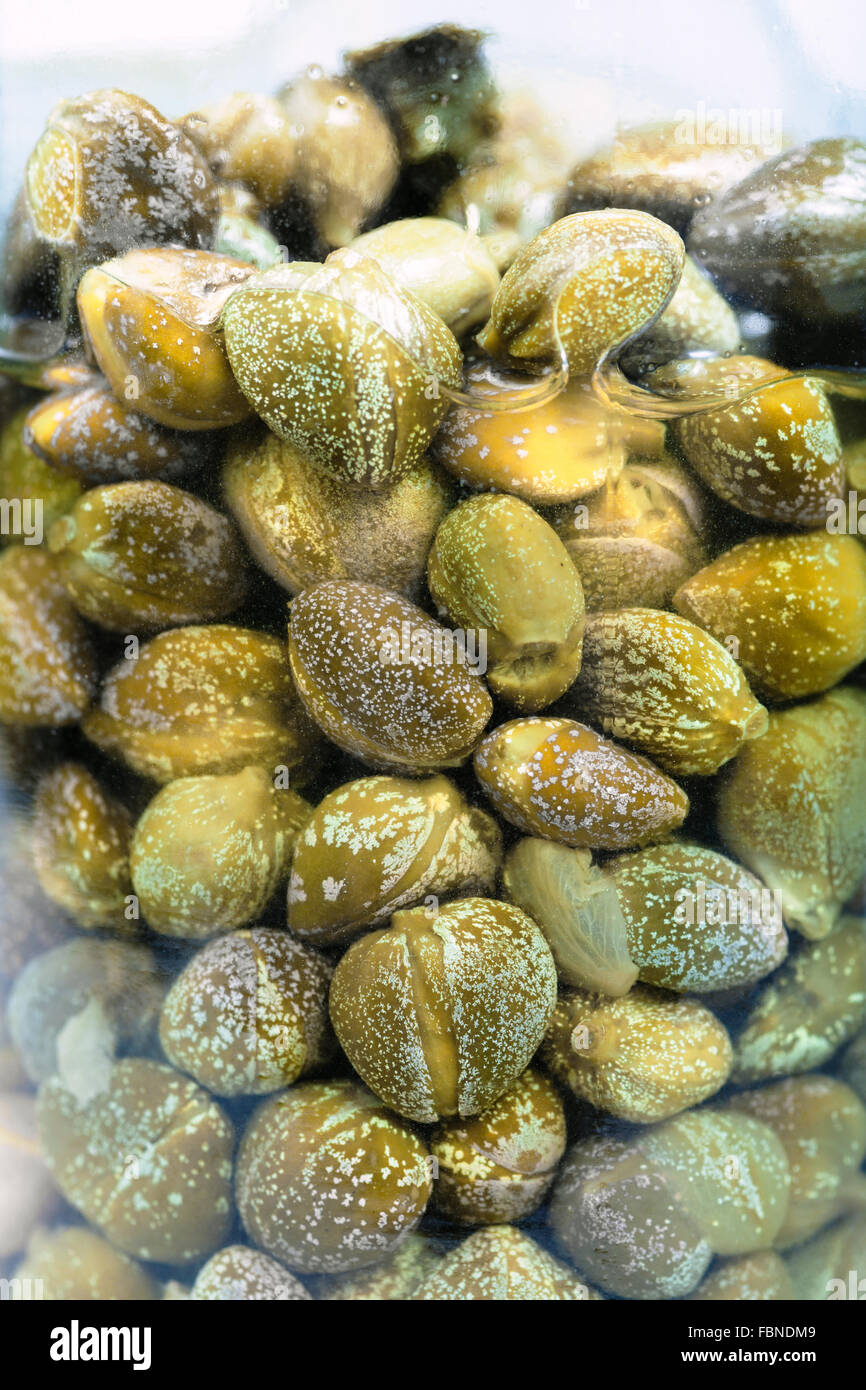 Brine in jar hi-res stock photography and images - Alamy