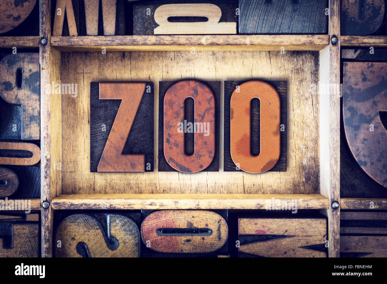 The word "Zoo" written in vintage wooden letterpress type Stock Photo ...