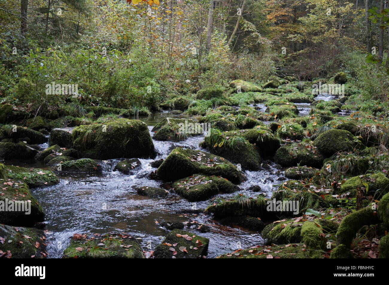 Stream and mossy rocks hi-res stock photography and images - Alamy