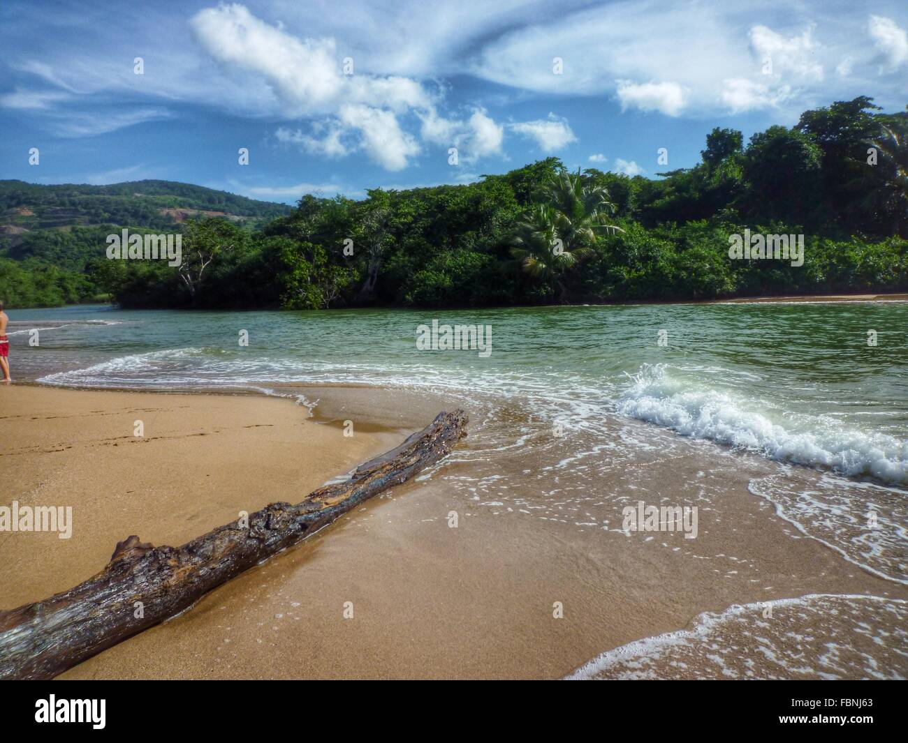 Log on the beach hi-res stock photography and images - Alamy
