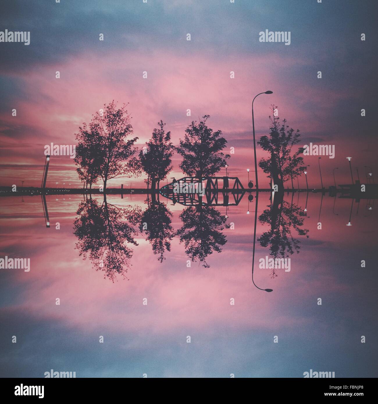 Symmetrical Trees High Resolution Stock Photography and Images - Alamy