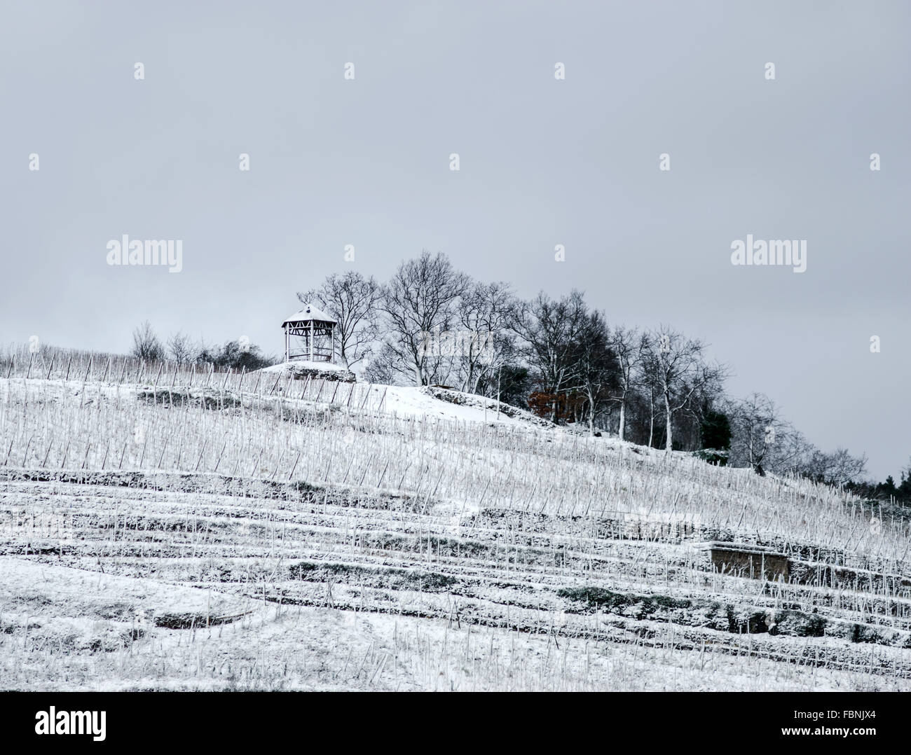 Alsace vineyard winter hi-res stock photography and images - Alamy