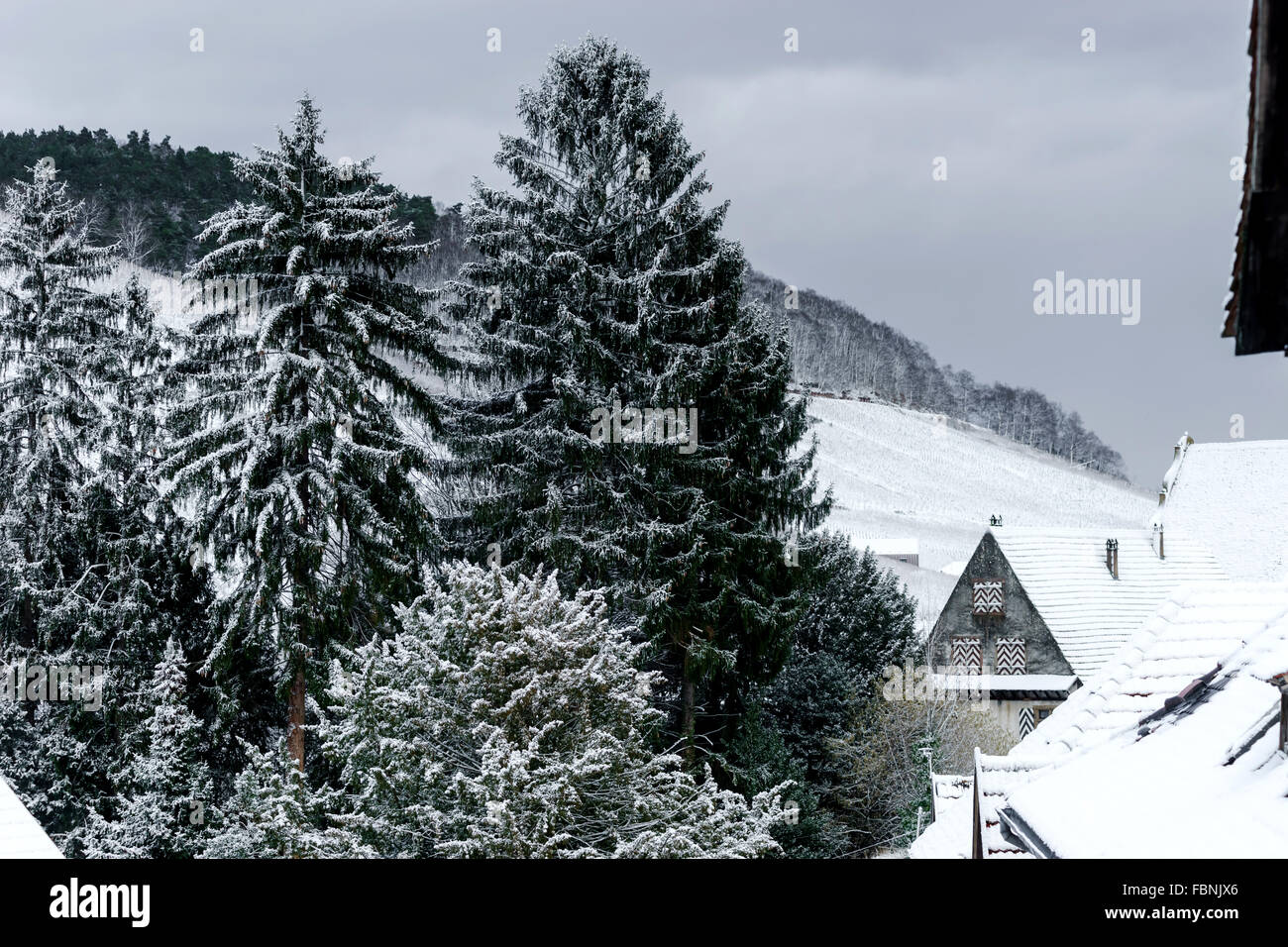 Snow in Alsace, France, winter landscape, season specific Stock Photo ...