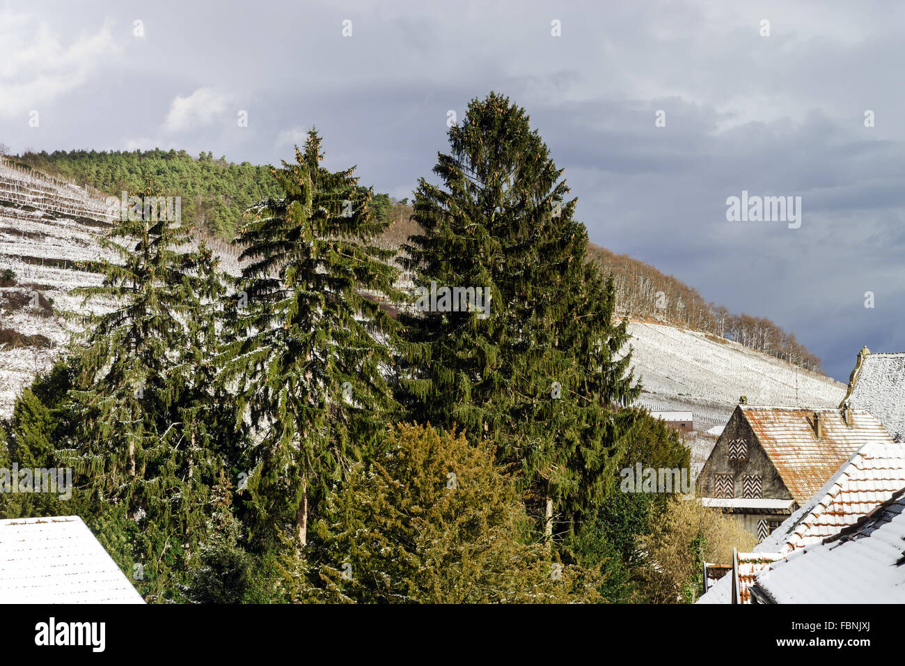 Snow in Alsace, France, winter landscape, season specific Stock Photo ...