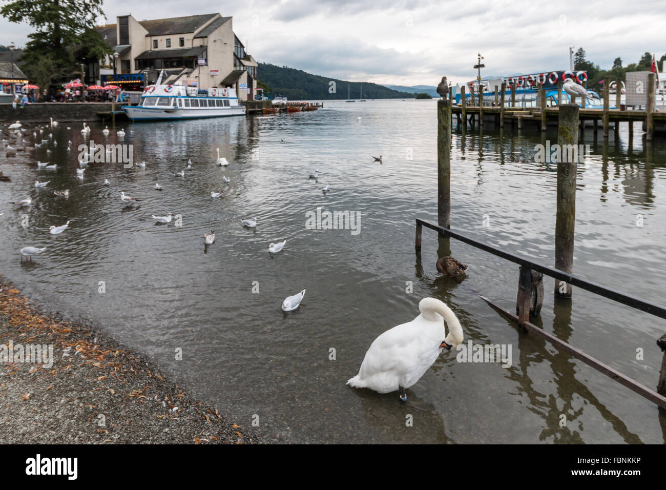 Boats Moored at Bowness on Windermere Stock Photo - Alamy