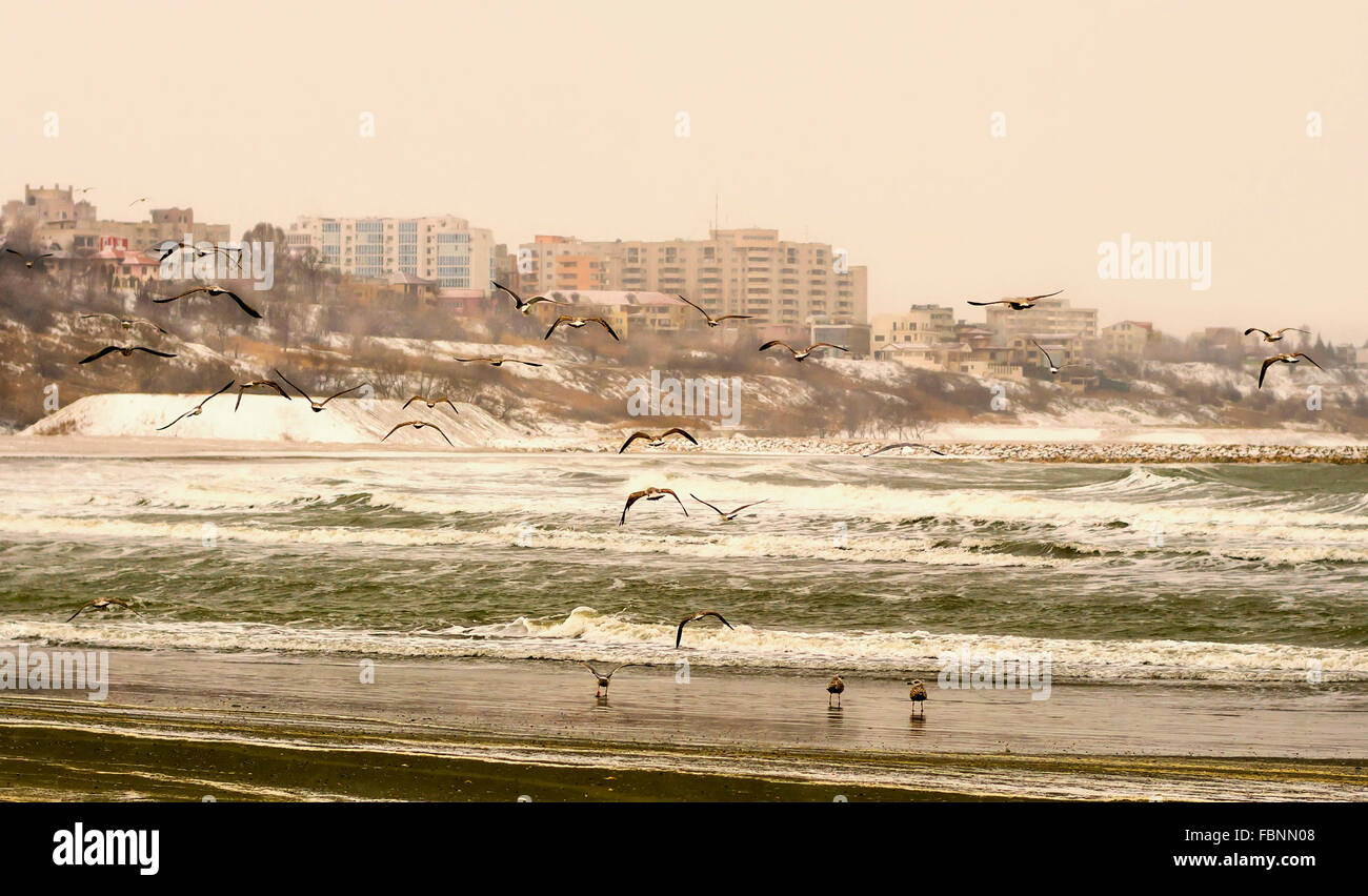 Scenic view in winter at Constanta beach,Romania Stock Photo - Alamy