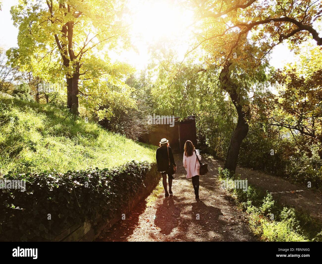 Walking friends hi-res stock photography and images - Alamy