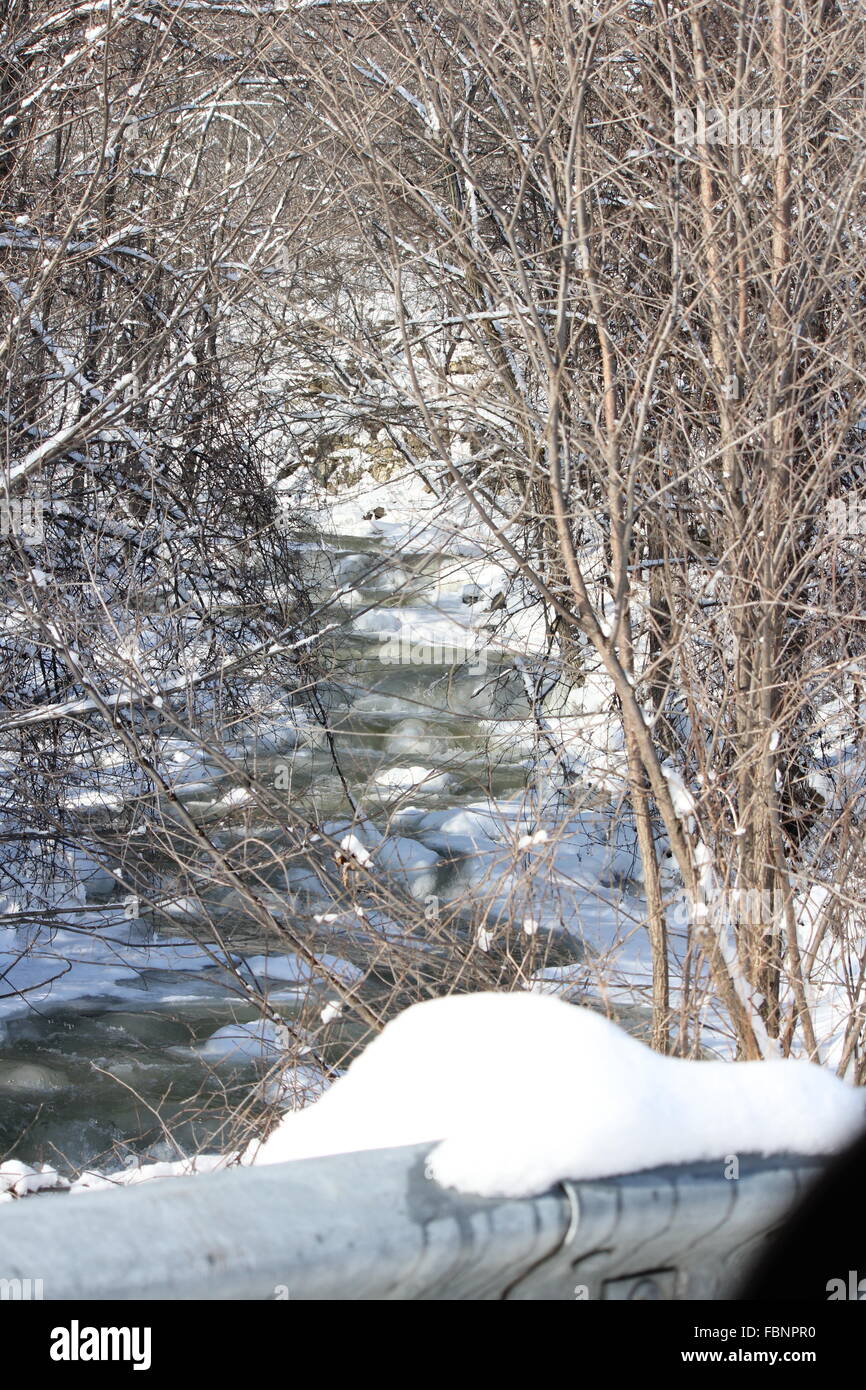 Little hillside stream among the trees, flowing down a rocky stream bed ...