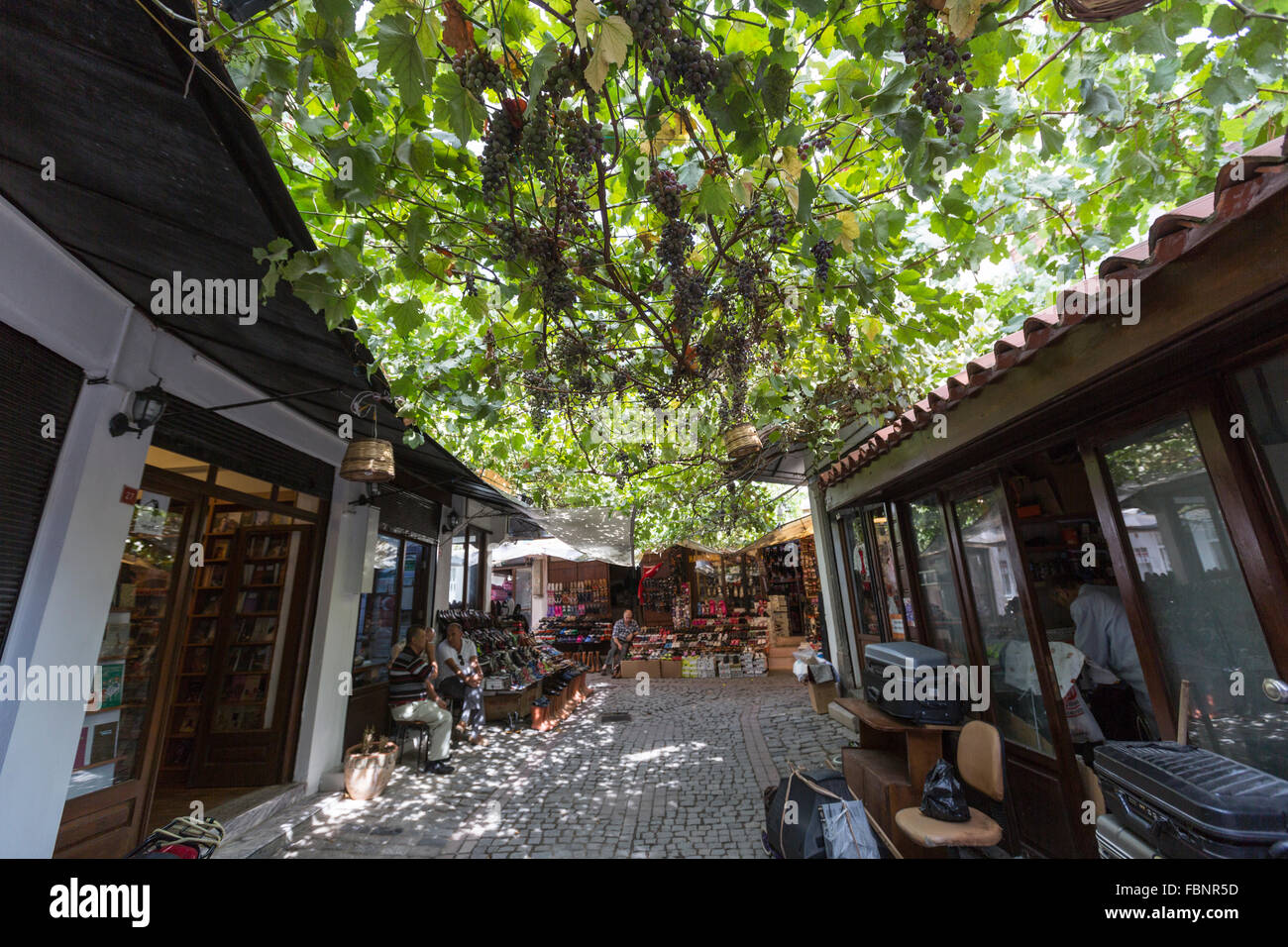 Grape vines grow over their pergolas to provide shade in the summer in ...