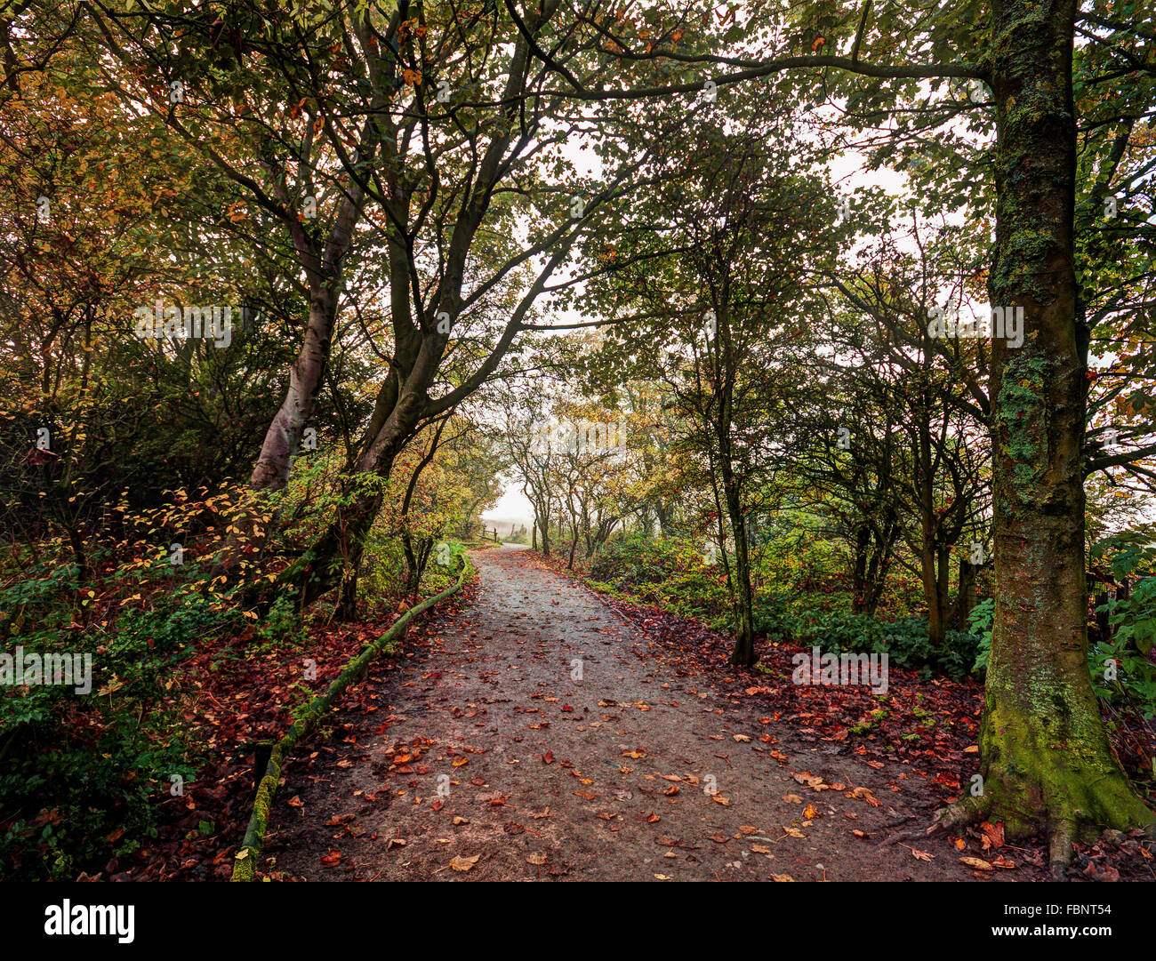 Inviting path hi-res stock photography and images - Alamy