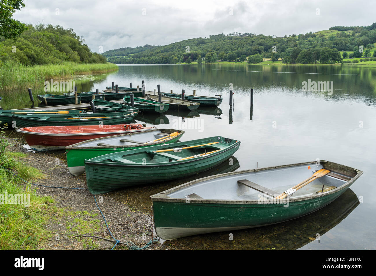 Rowing Boats Moored on Coniston Water Stock Photo - Alamy