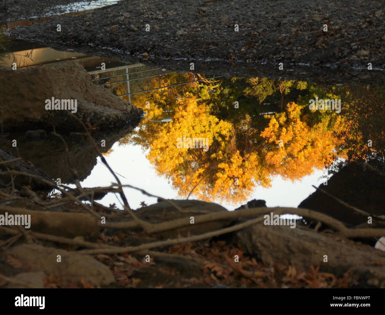 Puddle in the park hi-res stock photography and images - Alamy