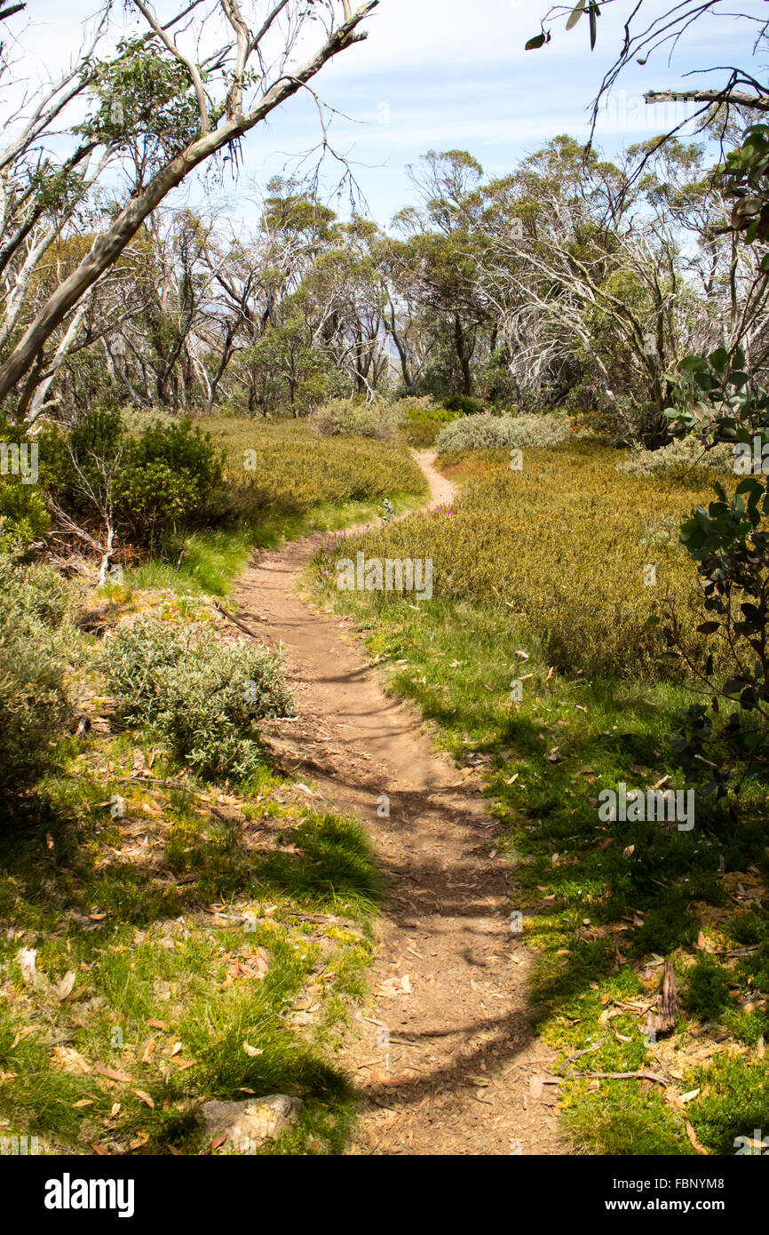 Mountain biking trail hi-res stock photography and images - Alamy
