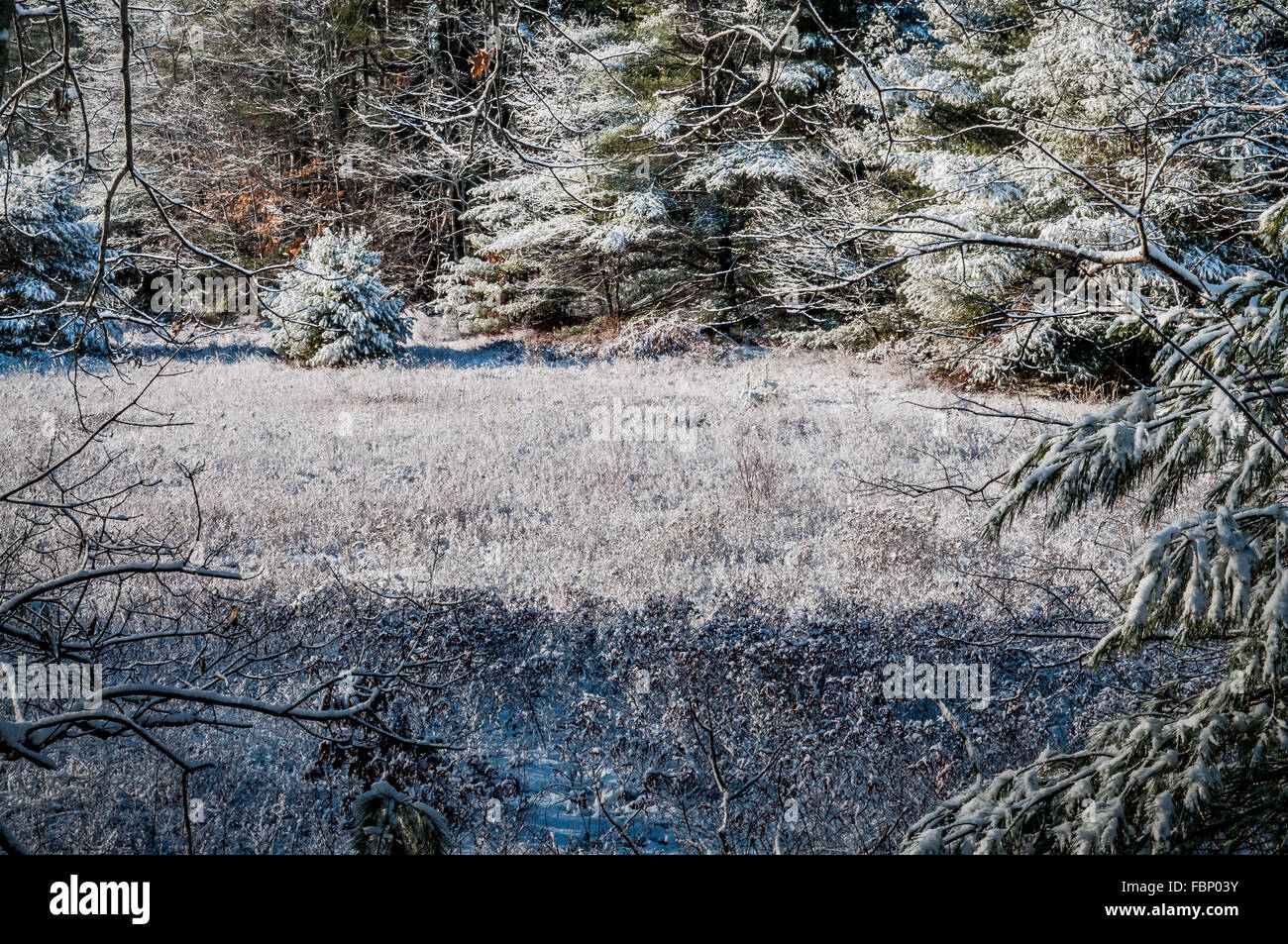 After a few inches of snow, a light rain fell. It covered everything ...