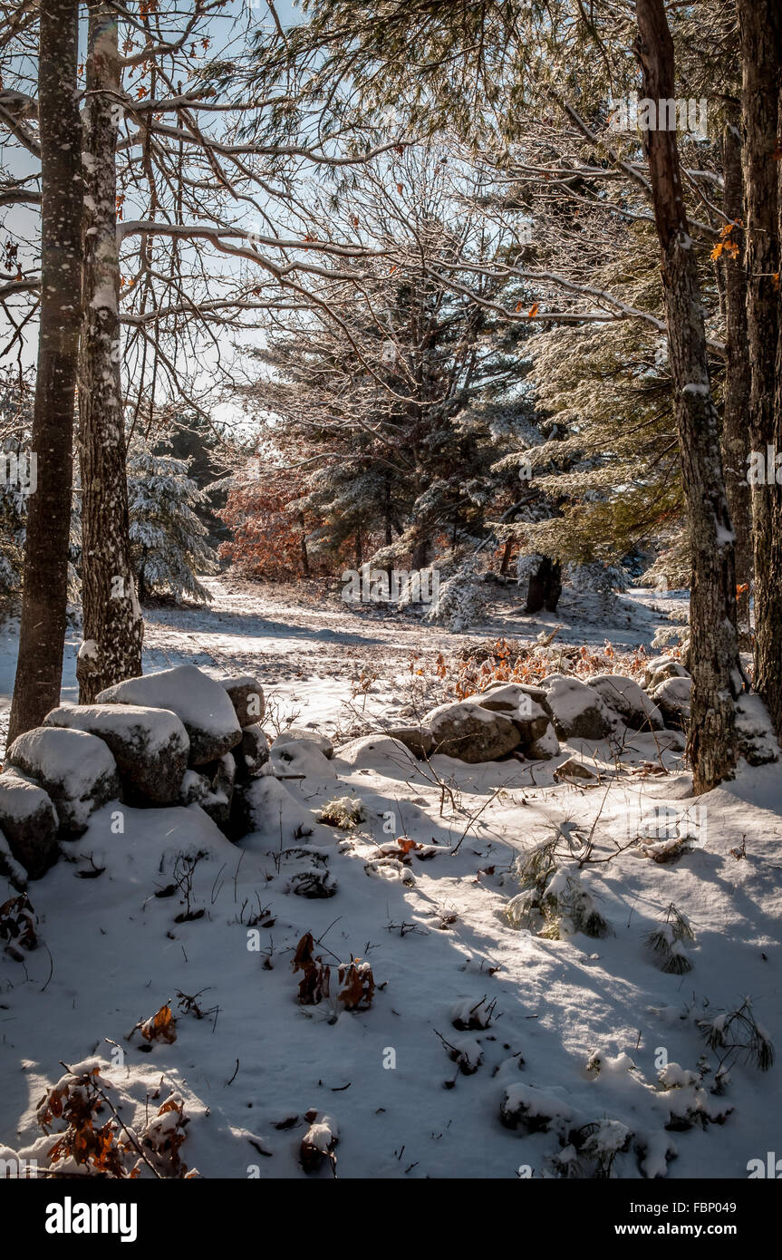 Horizontal landscape tranquil spiritual foliage beautiful remote ...