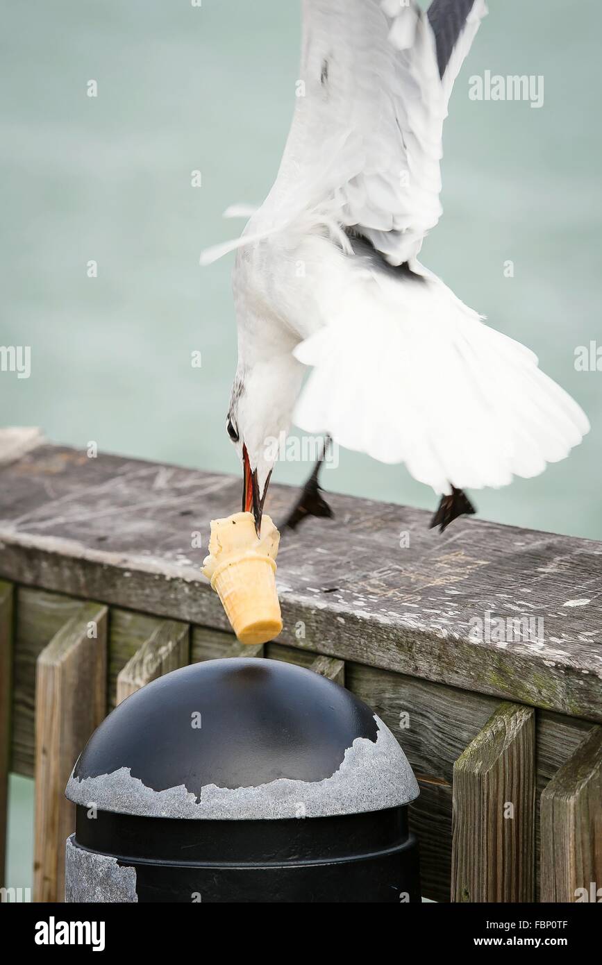 Flying ice hi-res stock photography and images - Alamy
