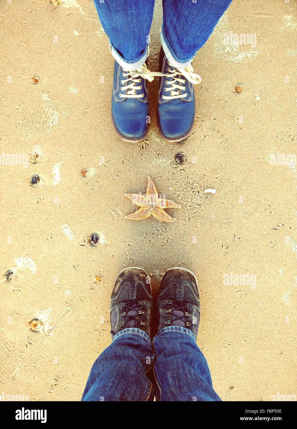 Starfish legs hi-res stock photography and images - Alamy