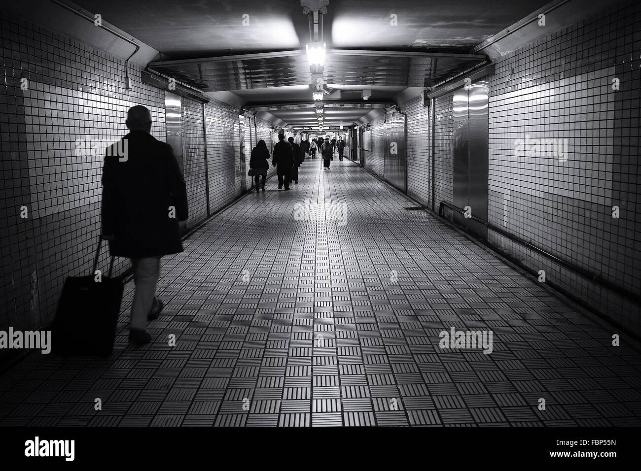 Life underground hi-res stock photography and images - Alamy