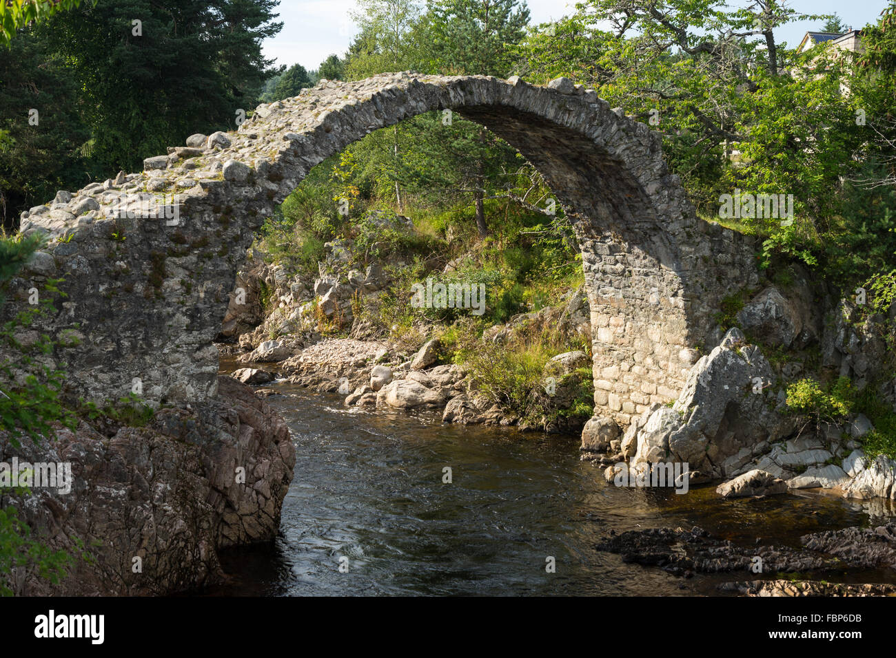 The Packhorse Bridge at Carrbridge Stock Photo - Alamy