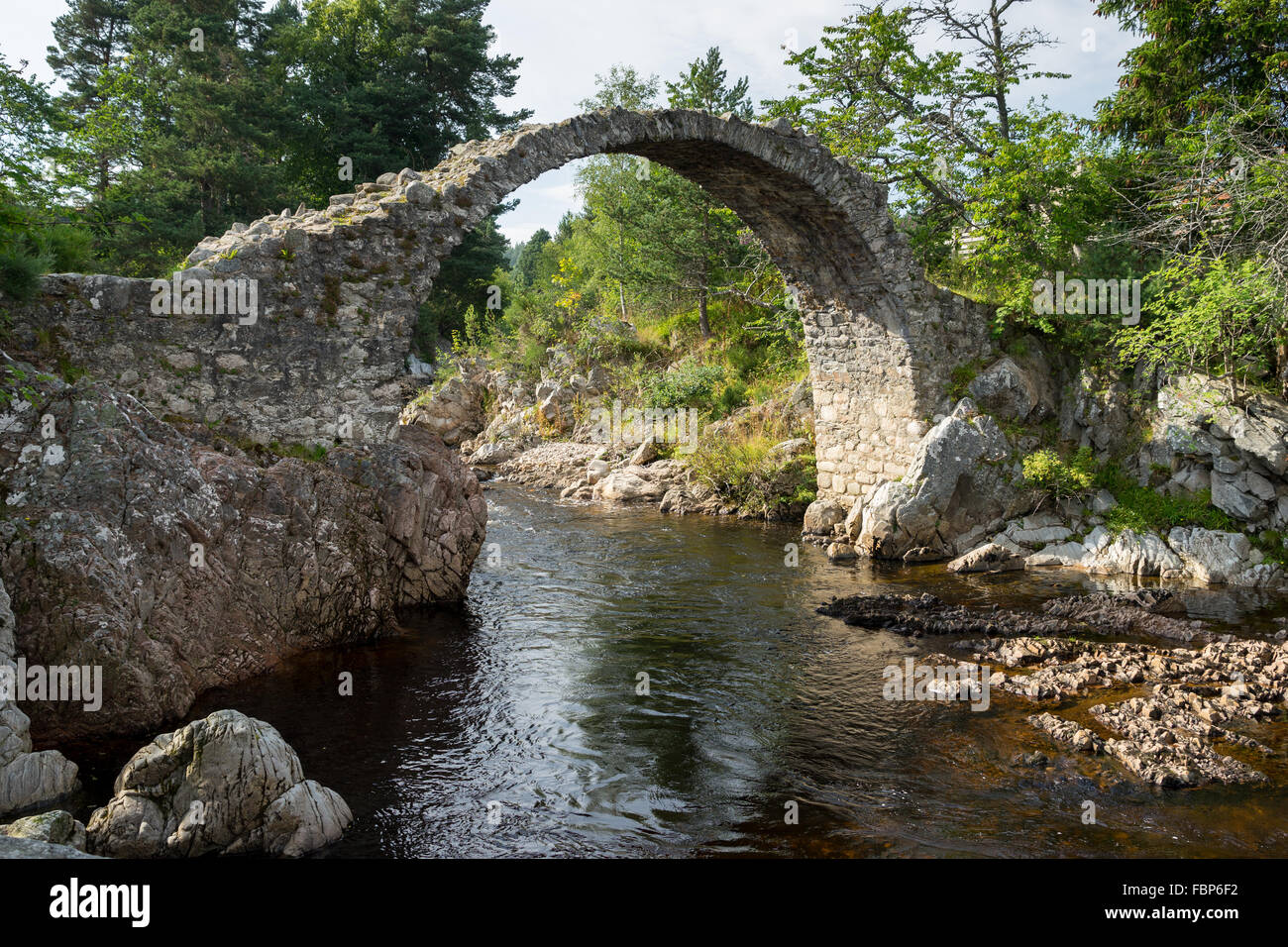 The Packhorse Bridge at Carrbridge Stock Photo - Alamy